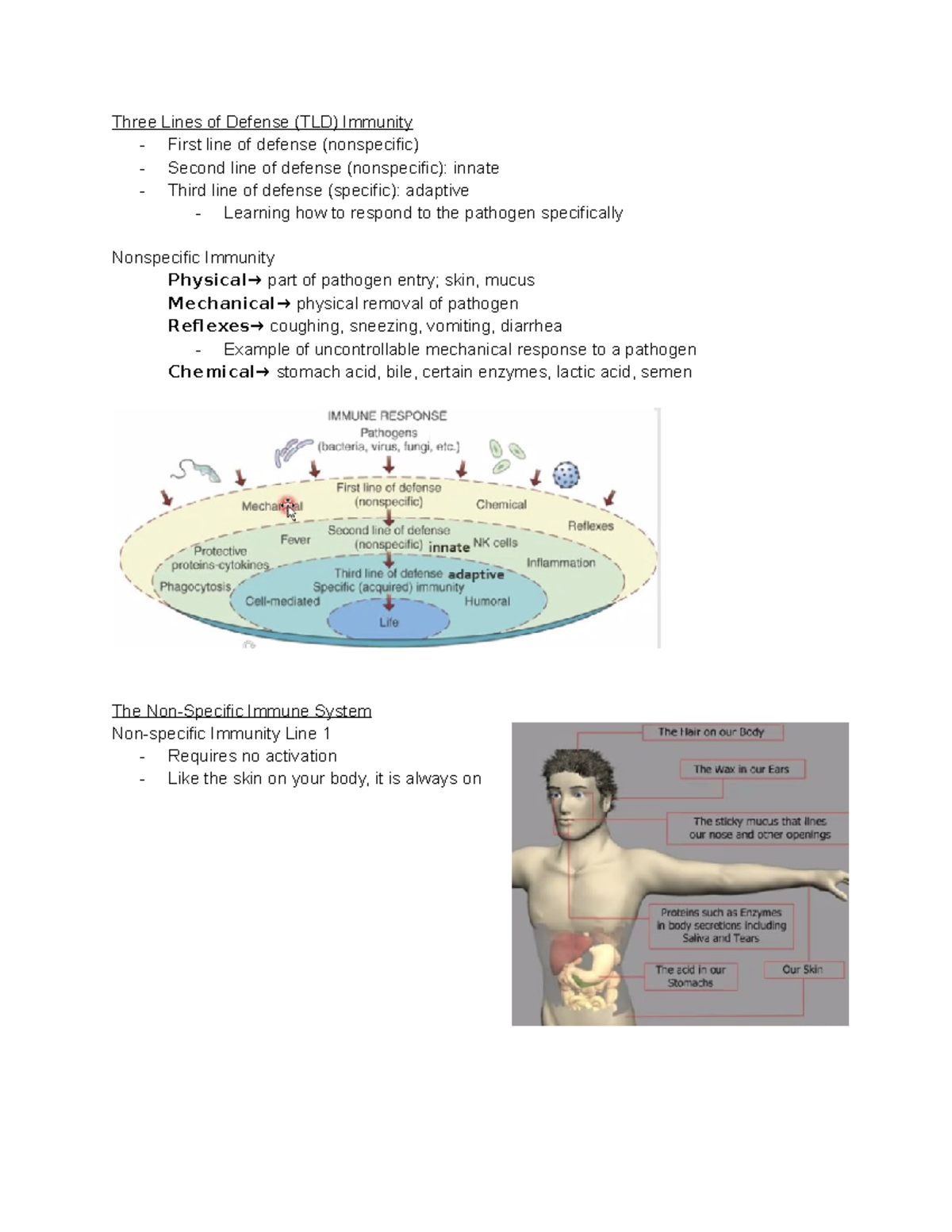 Basic Immunology Antiviral - Three Lines of Defense (TLD) Immunity ...