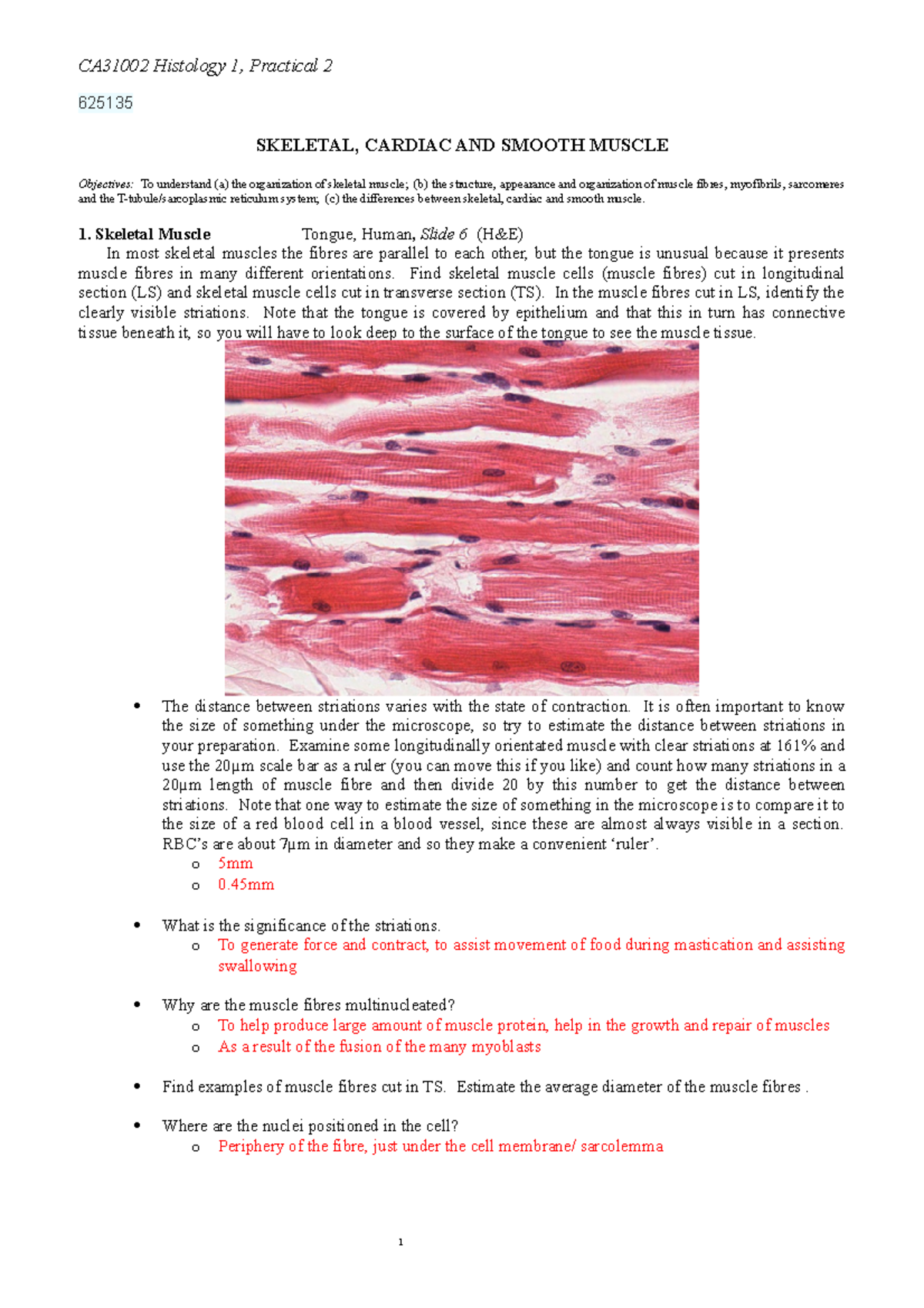 Practical 2 - Muscle - 625135 SKELETAL, CARDIAC AND SMOOTH MUSCLE ...