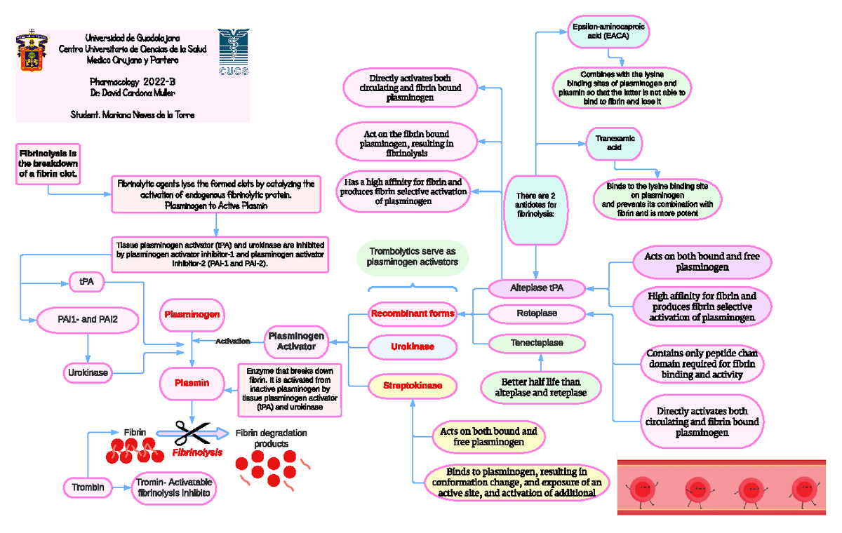 Diagram Pharma - Fibrin degradation products Fibrinolysis Fibrin ...