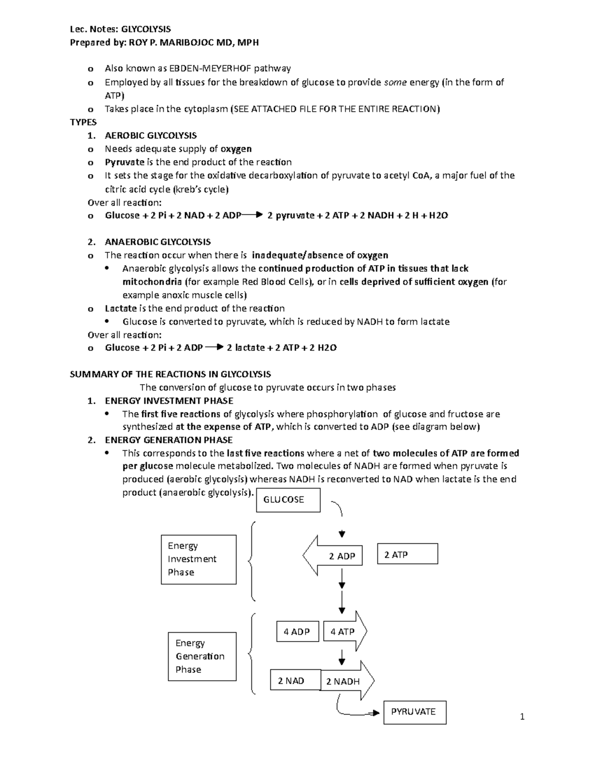 Lecture Notes glycolysis - GLUCOSE 2 ADP 2 ATP Energy Investment Phase ...