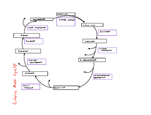 Cluster 3 - Figure 2 - Form 6 - Completed annoated example (L ...