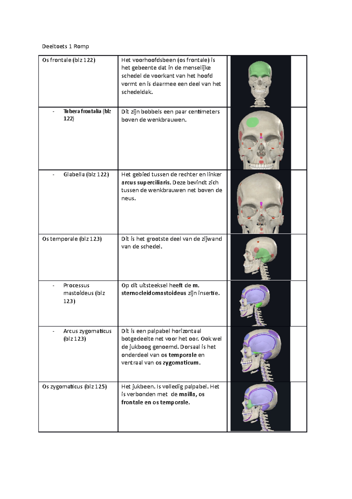 Deeltoets 1 Romp - Anatomie in Vivo van het Bewegingsapparaat zonder ...
