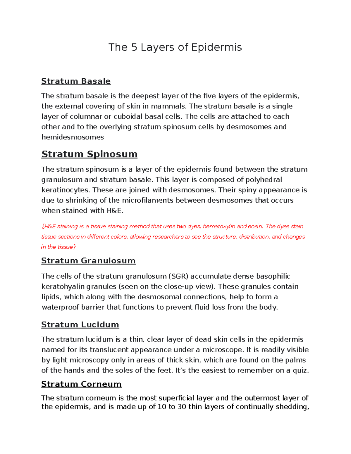 The 5 Layers of the Epidermis - The 5 Layers of Epidermis Stratum ...