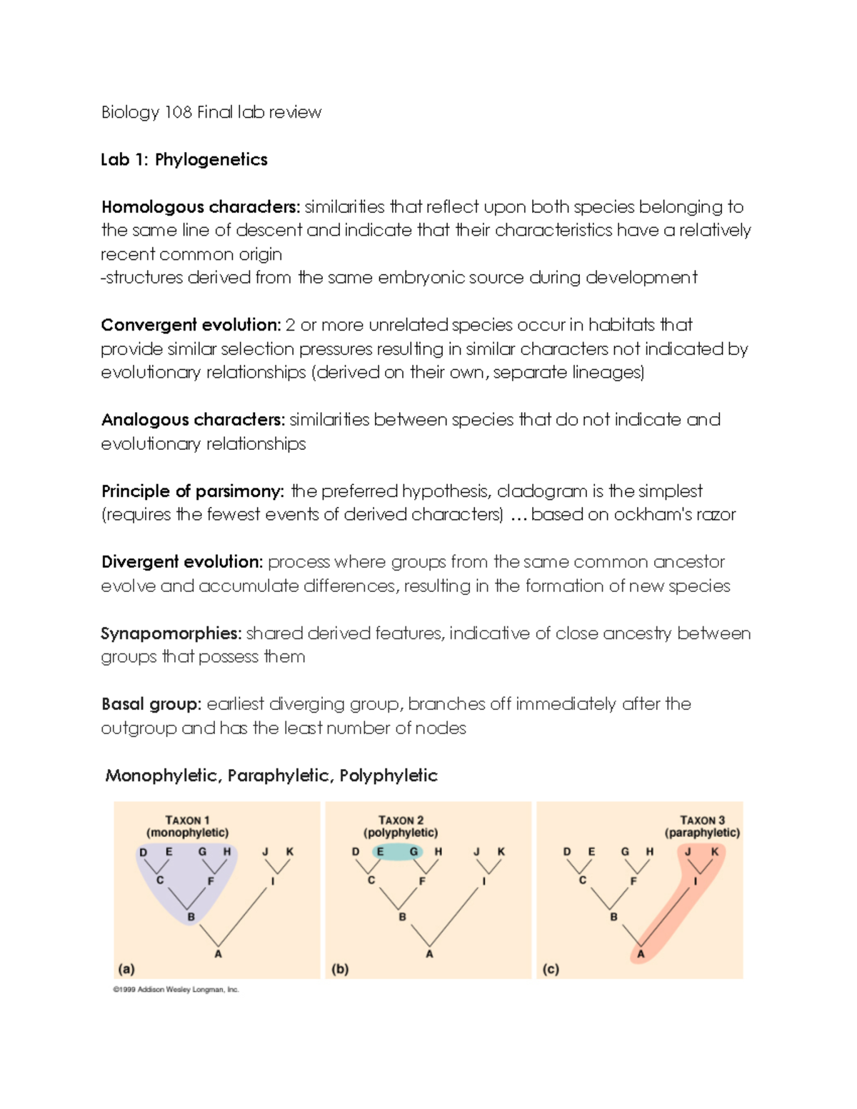 Biology 108 Final lab review - Biology 108 Final lab review Lab 1 ...