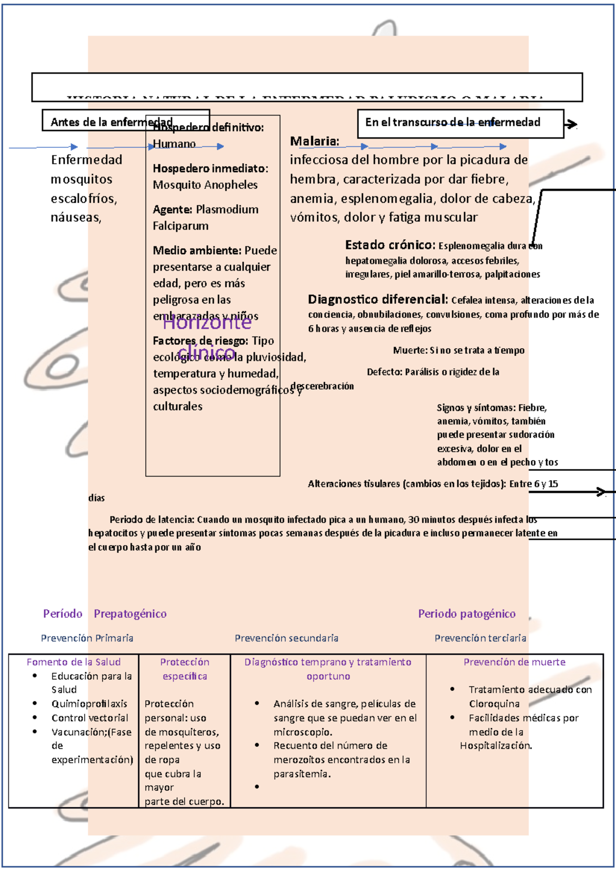 Historia natural de la Malaria (Promocion de la salud) - Malaria ...