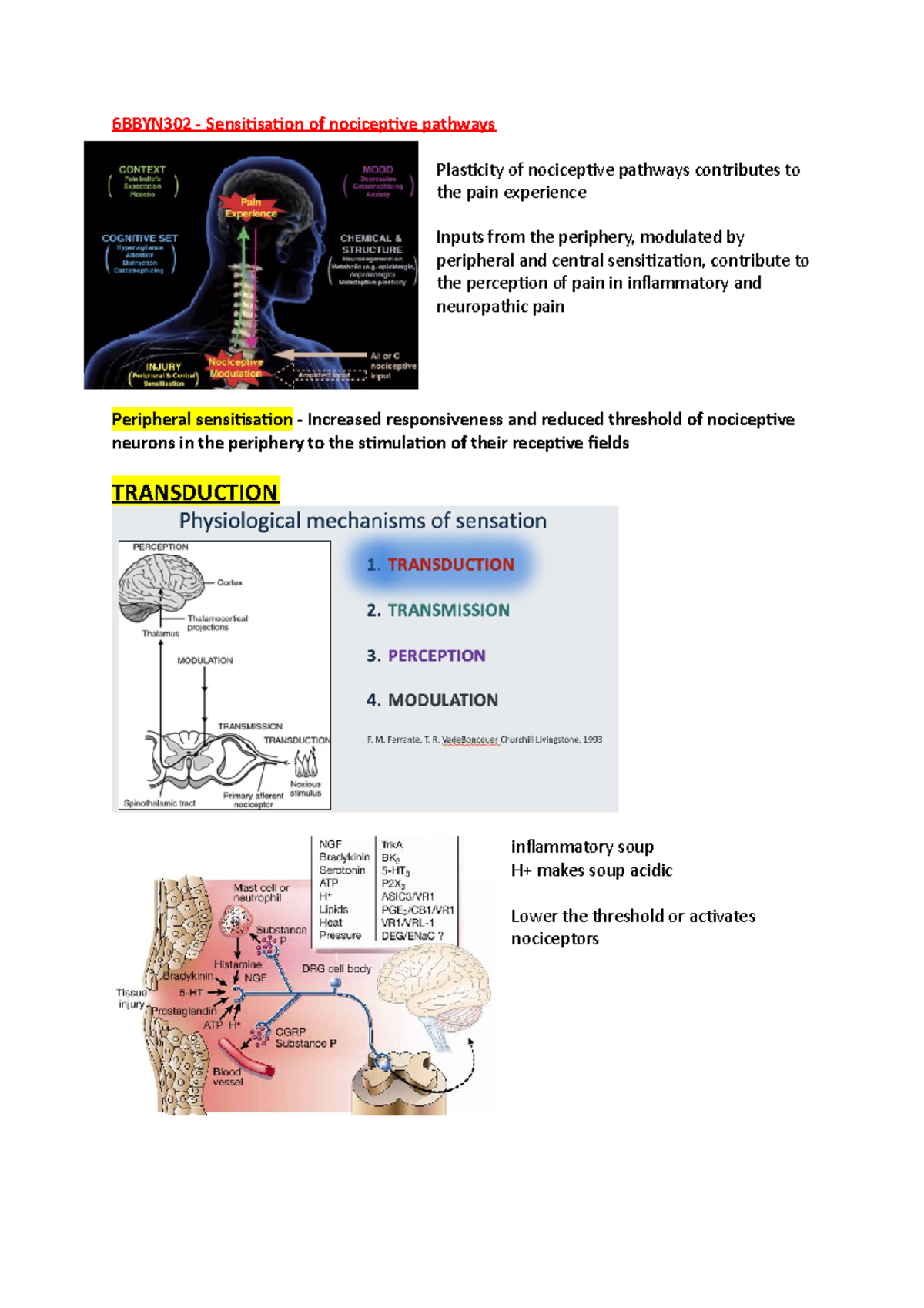 6BBYN302 Sensitisation of nociceptive pathways - 6BBYN302 ...