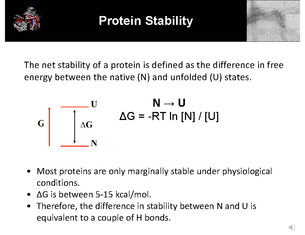 Wk 7 Video 2 slides - 1pp - The net stability of a protein is defined ...