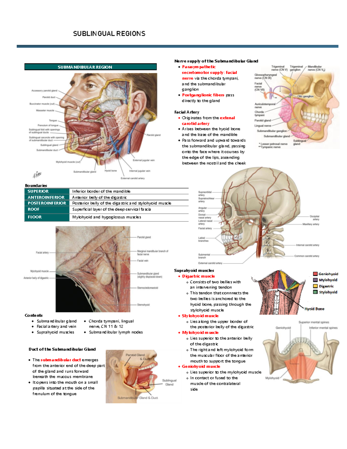 Sublingual Regions - Lecture notes 6 - SUBLINGUAL REGIONS SUBMANDIBULAR ...