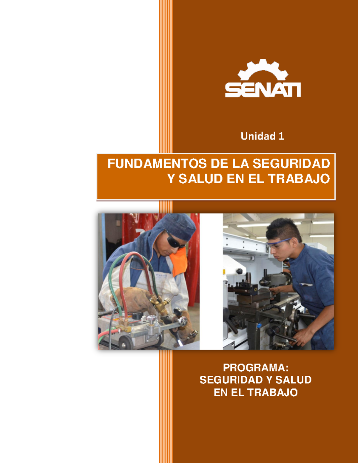 Manual Seguridad Y Salud EN EL Trabajo - PROGRAMA: SEGURIDAD Y SALUD EN ...