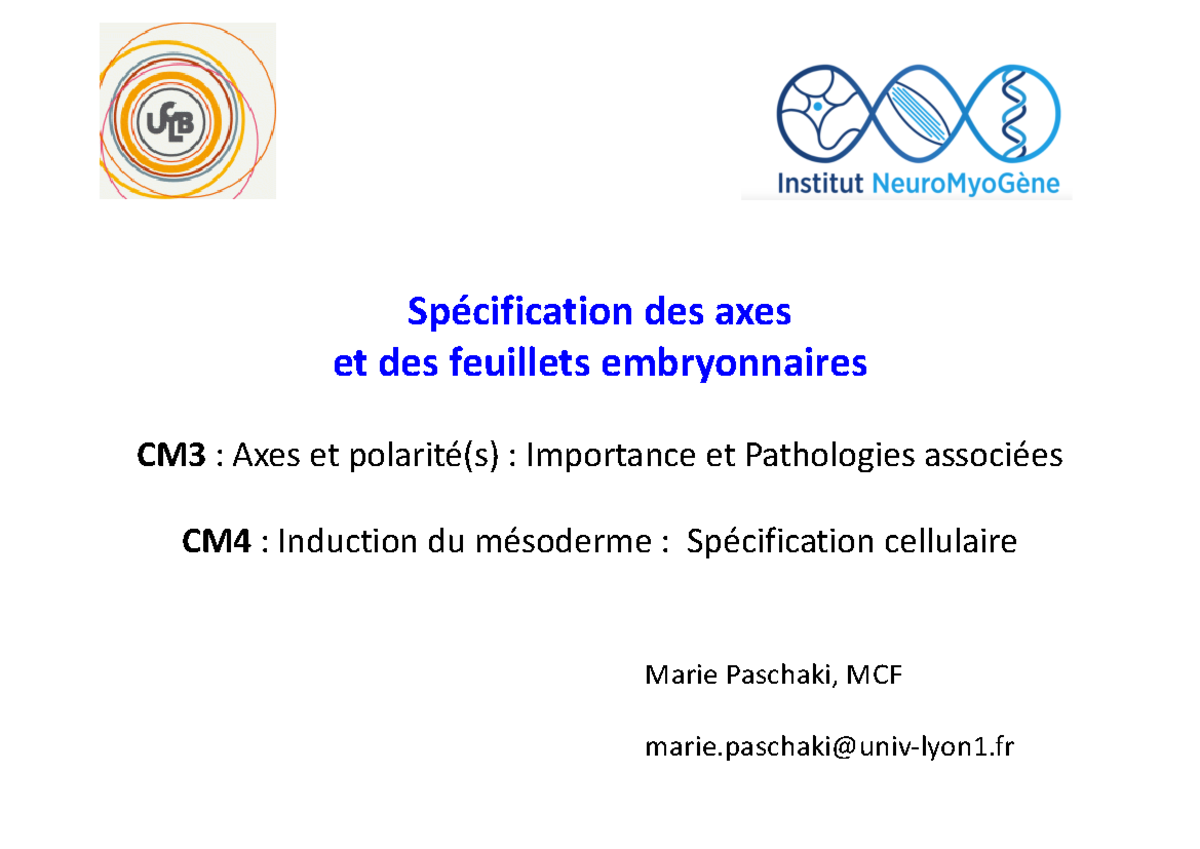 CM3 Axe Dorso ventral - Warning: TT: undefined function: 32 Warning: TT: undefined function: 32 ...