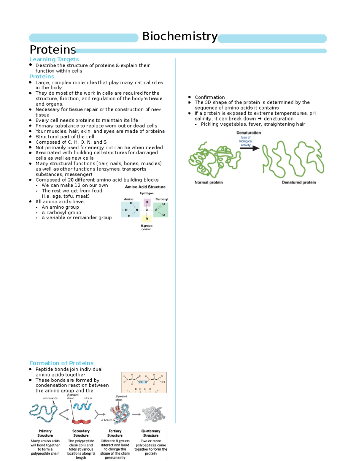 Lesson 8 - Proteins - Class Notes - Biochemistry Proteins Learning ...