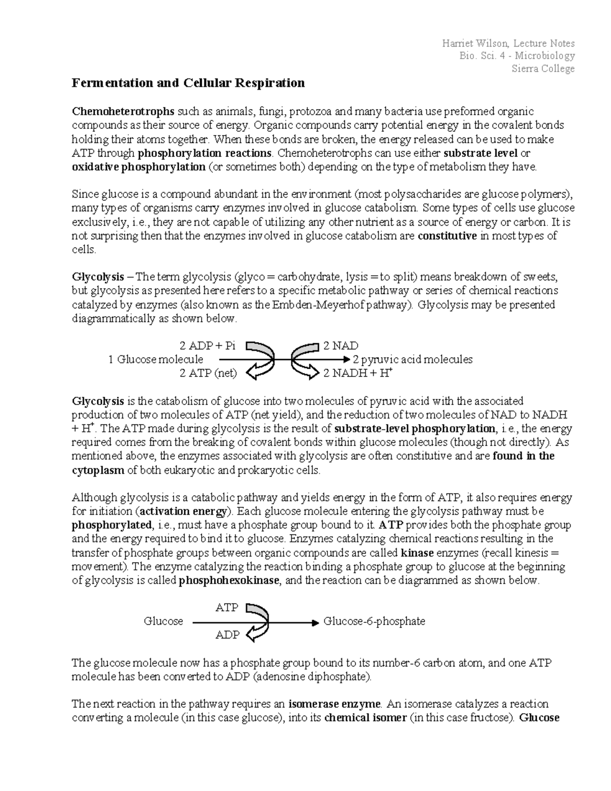 Fermentation and Cellular Respiration - Harriet Wilson, Lecture Notes ...