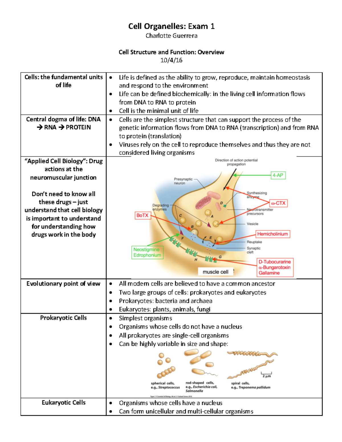 Cell Organelles Exam 1 Notes - Cell Organelles: Exam 1 Charlotte ...
