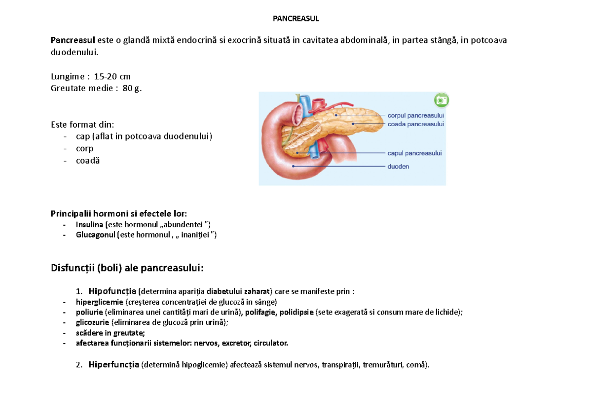 Pancreasul- biologie - Summary on pancreas - PANCREASUL Pancreasul este ...