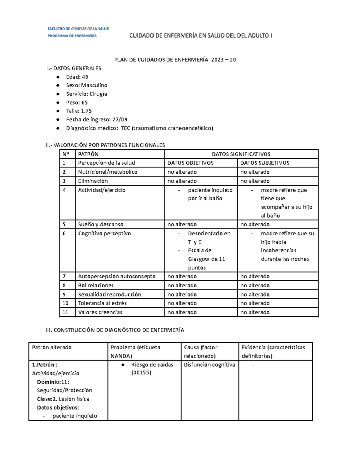 Plantilla PLAN DE Cuidados - PLAN DE CUIDADOS DE ENFERMERÍA 2023 – 10 I.- DATOS GENERALES Edad ...