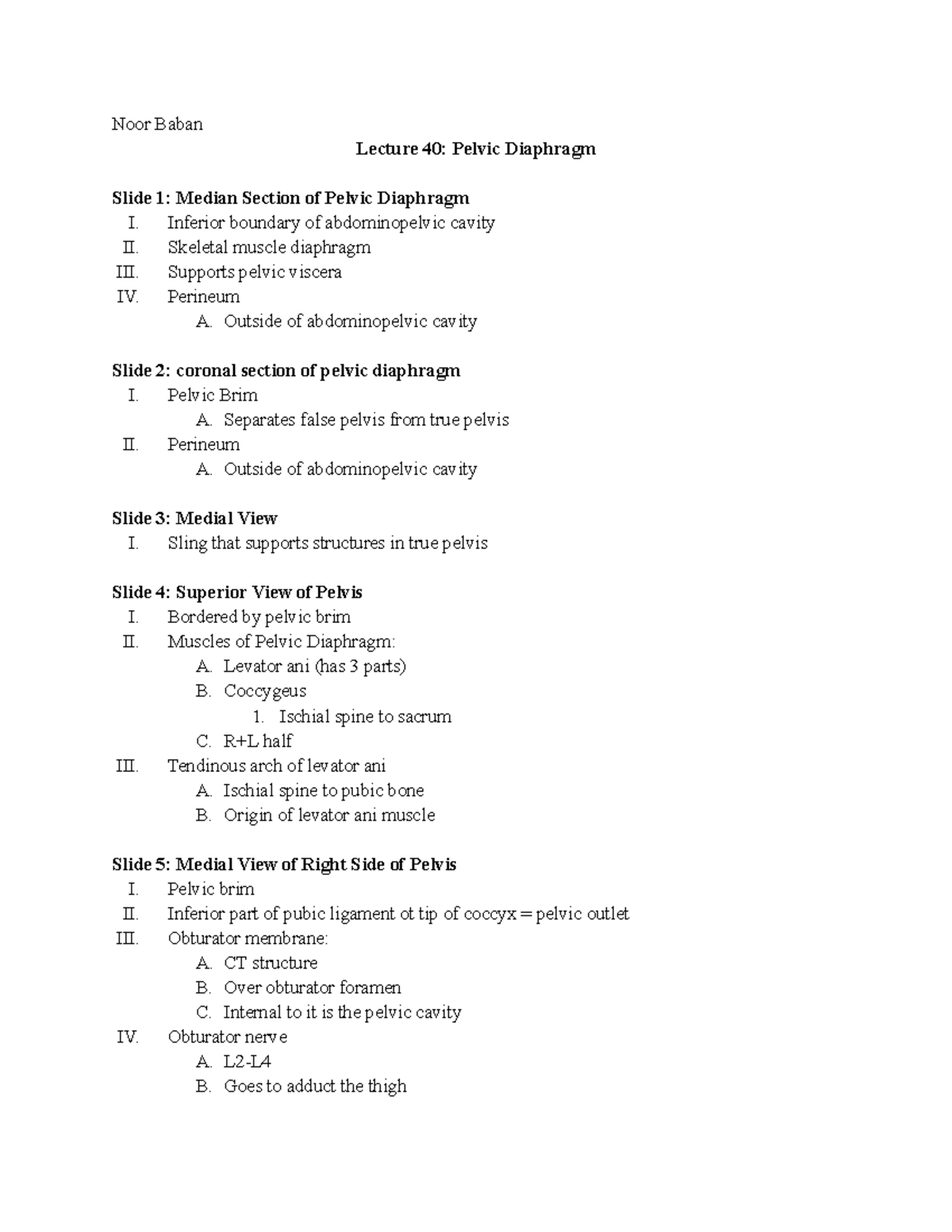 Lecture 40 Pelvic Diaphragm - Noor Baban Lecture 40: Pelvic Diaphragm ...