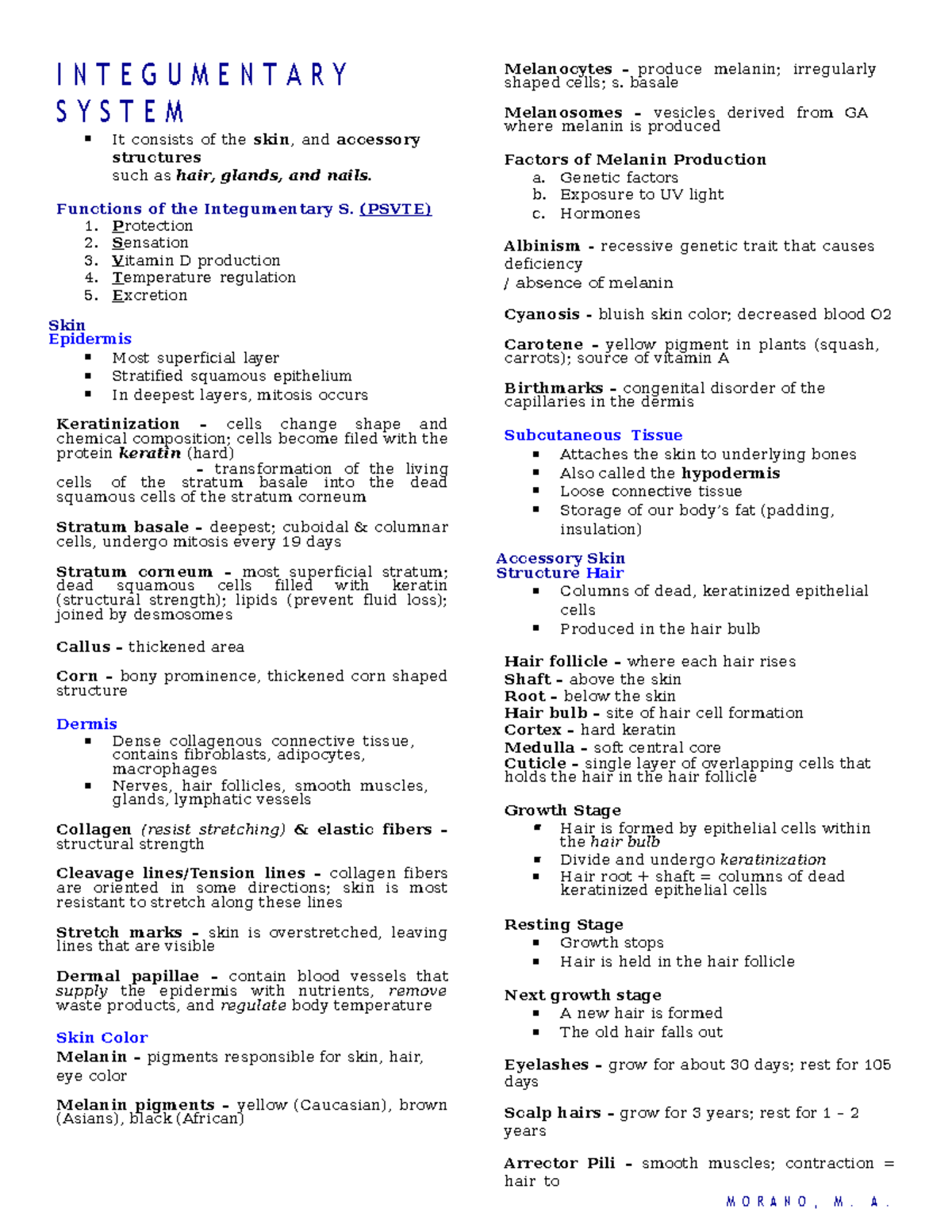 5-Integumentary-System - I N T E G U M E N T A R Y S Y S T E M It ...