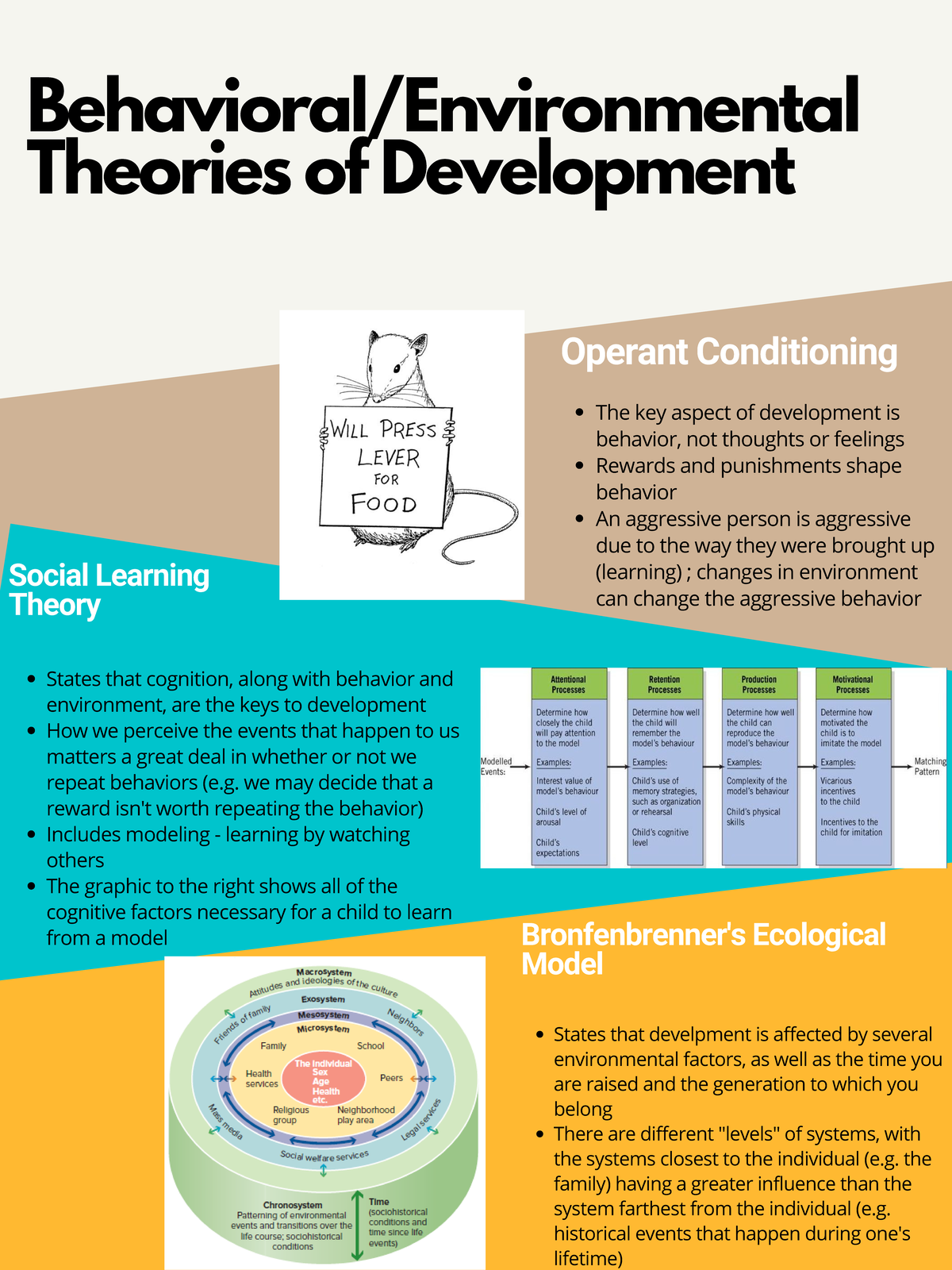 Behavioral Environmental Theories of Development - Behavioral ...