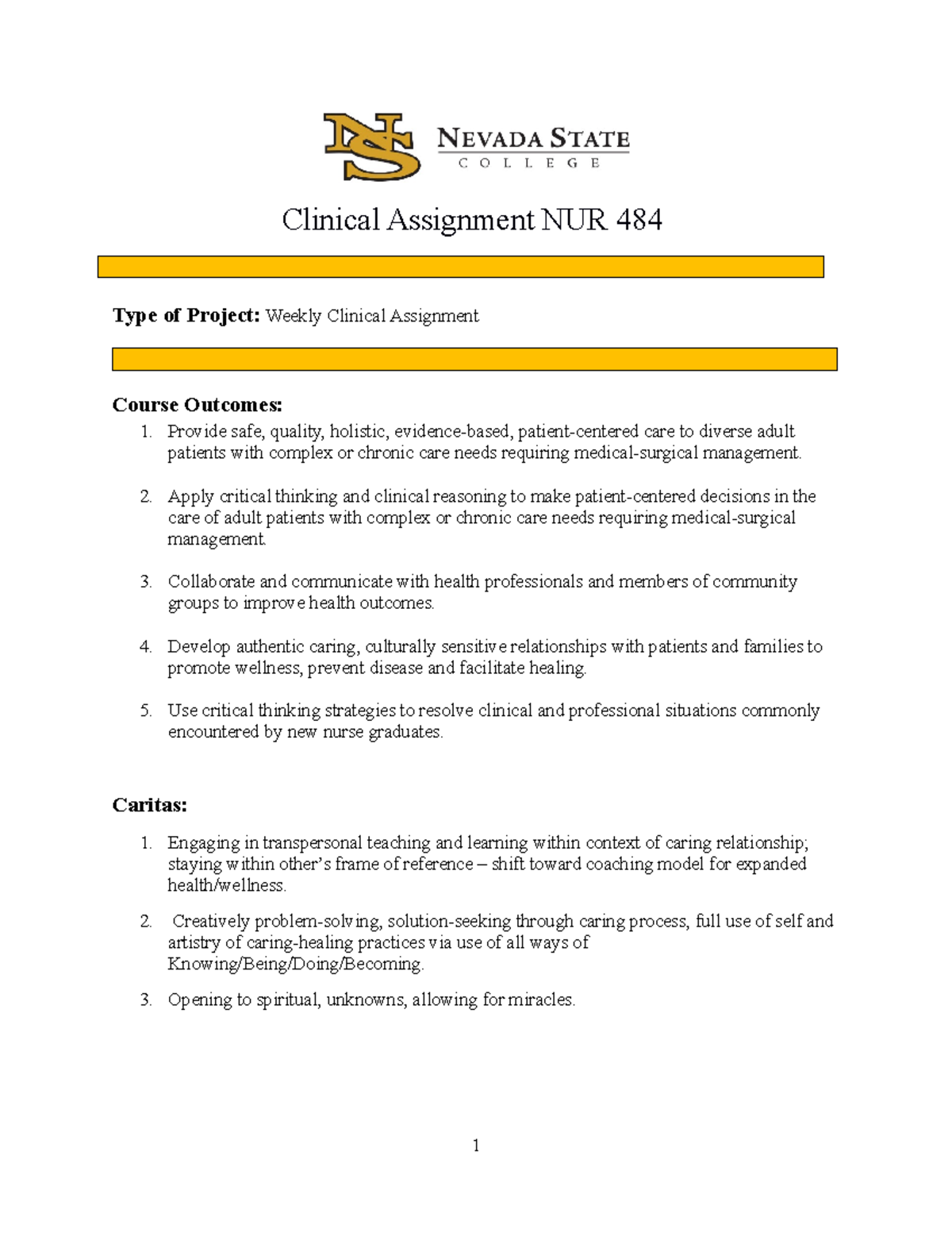 Comprehensive Clinical Assignment NUR 484 ZB912021 (8) - NURS 380 - NSC ...