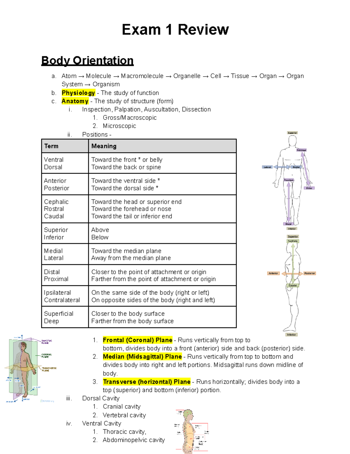 Exam 1 Review - Body Orientation a. Atom → Molecule → Macromolecule → ...