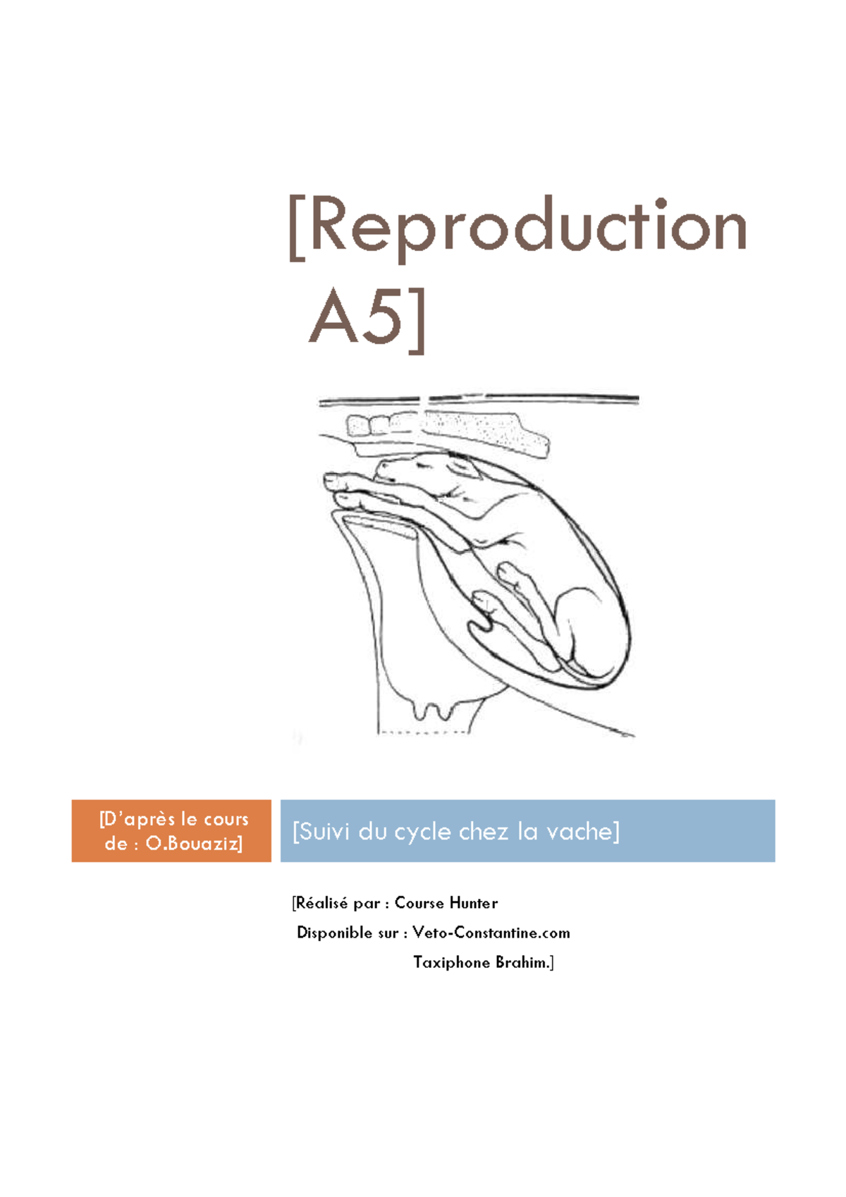 8 suivi du cycle chez la vache - [Reproduction A5] [D’après le cours de ...