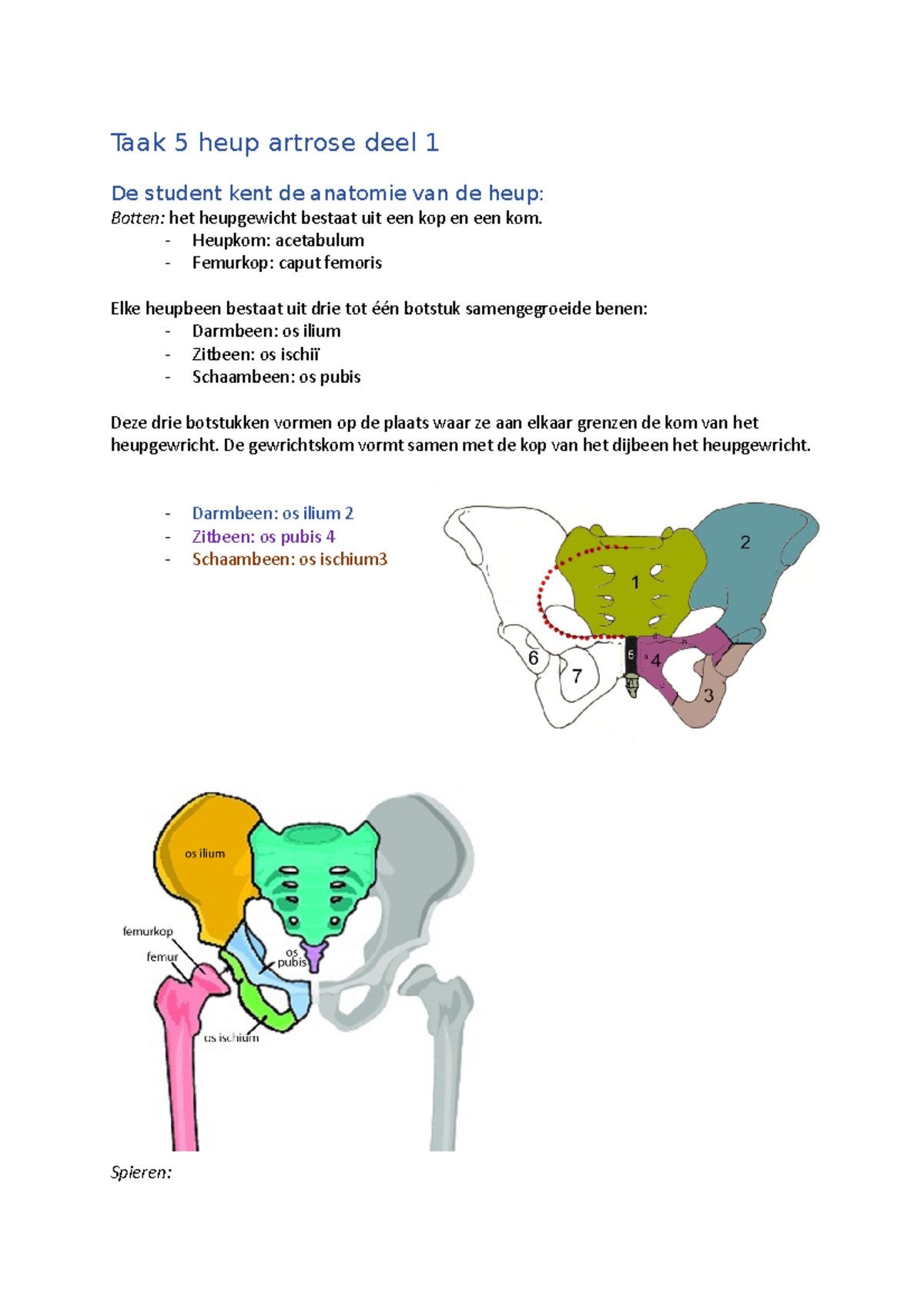 OWG Taak 5 en 6 heup artrose - Taak 5 heup artrose deel 1 De student ...