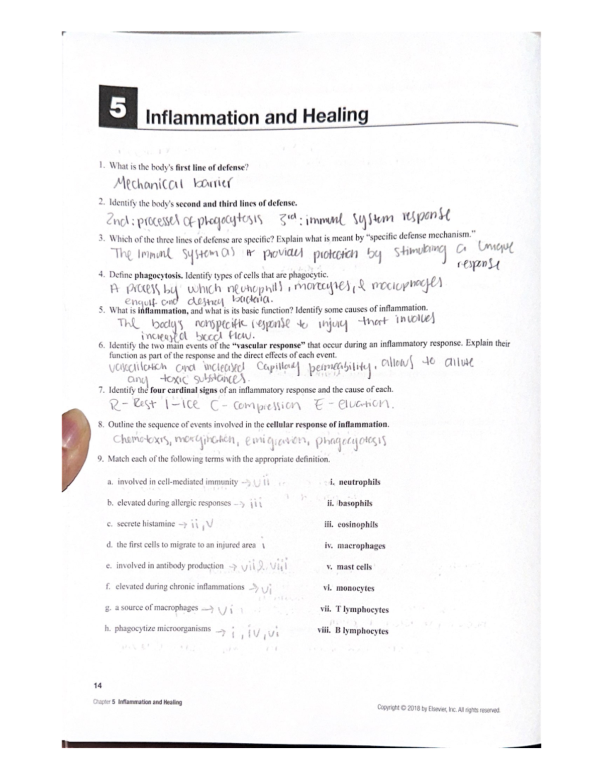 Weekly Study Guide - Summary Pathophysiology For Nursing - 5 ...