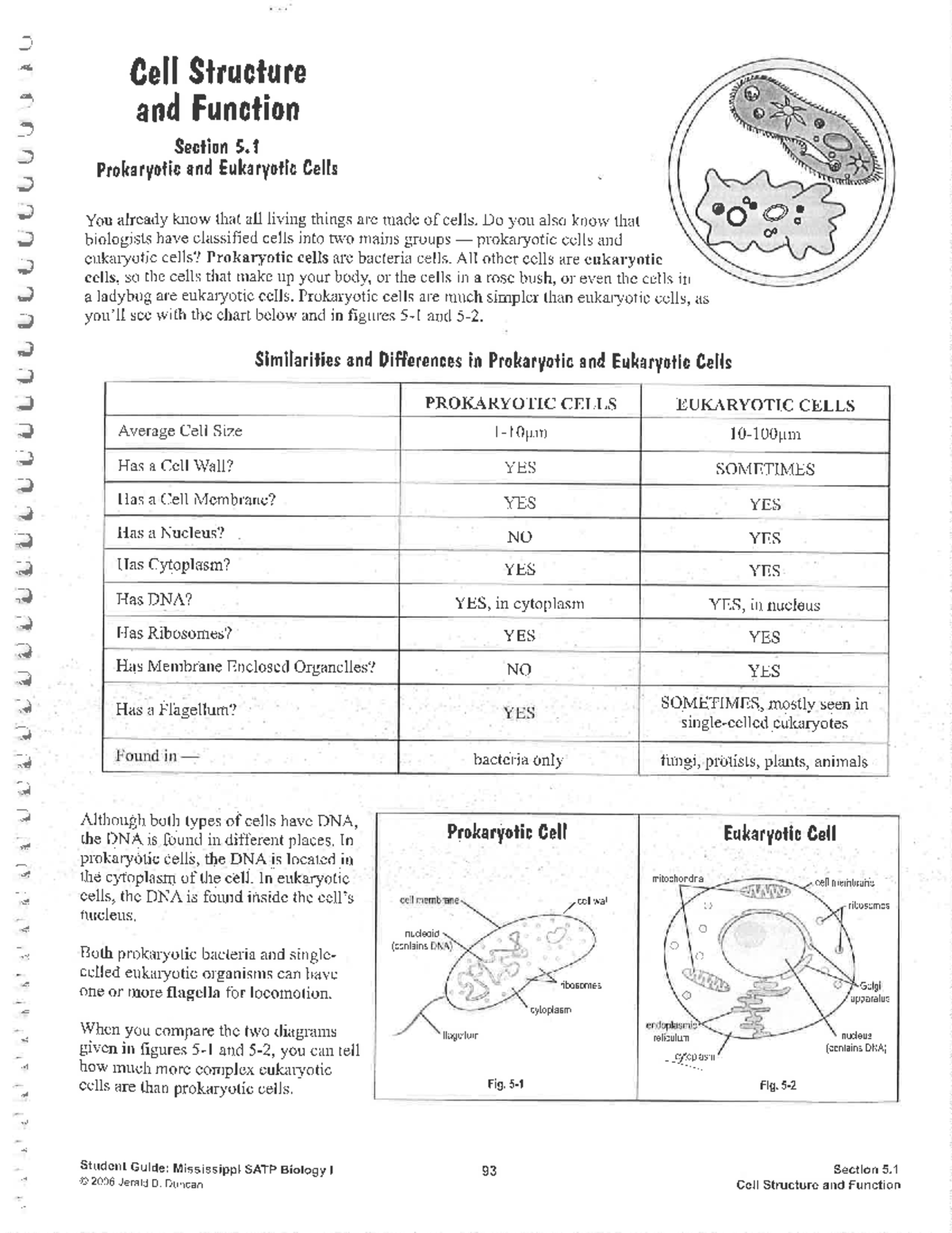 Cells Worksheets 2 - cel - Celbiologie - Studocu