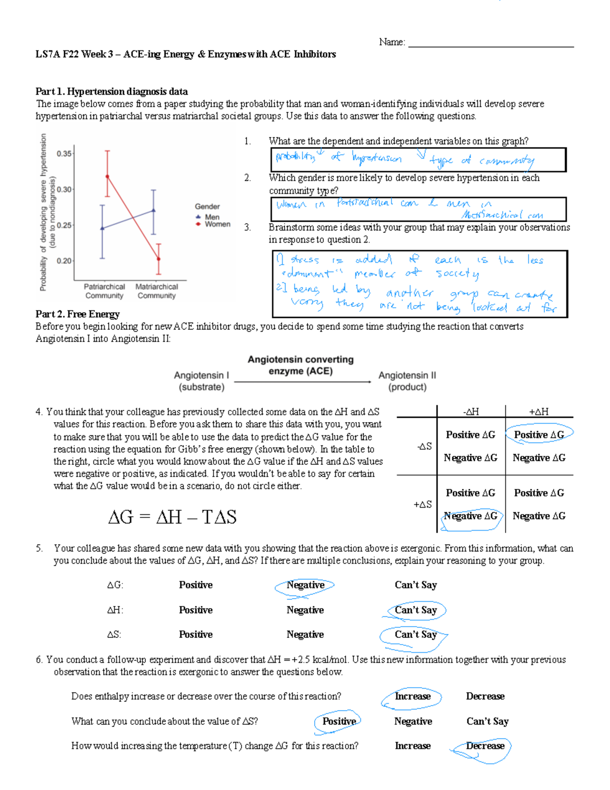 ACE Inhibitors Discussion Worksheet - Name ...