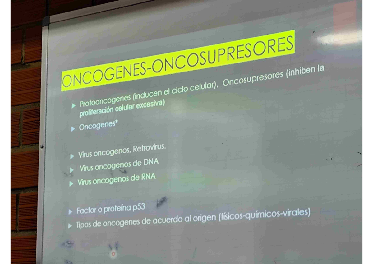 Oncogenes - Es una exposición de genes - Anatomía Humana (umsa) - Studocu