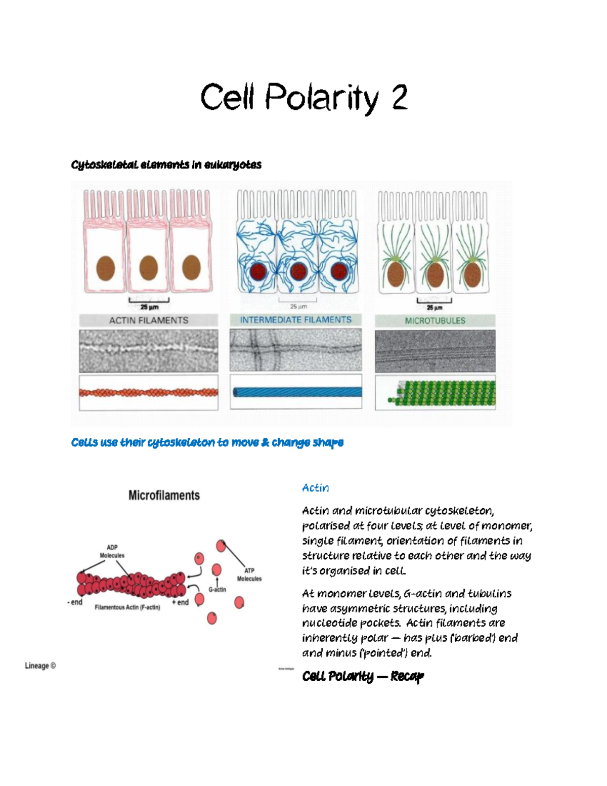 Polarity 2 - Lecture notes including further reading and notes based on ...