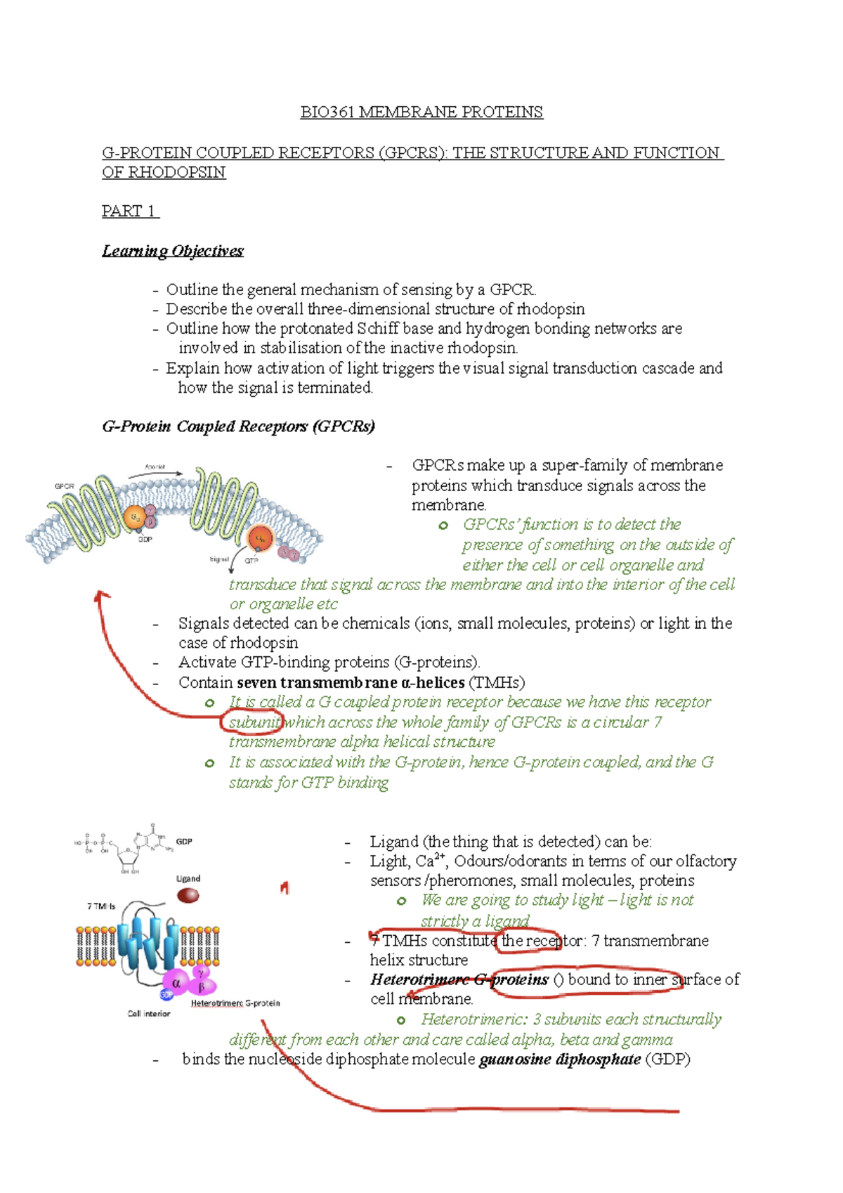 20&21 G-Protein Coupled Receptors (GPCRs)- The Structure and Function ...