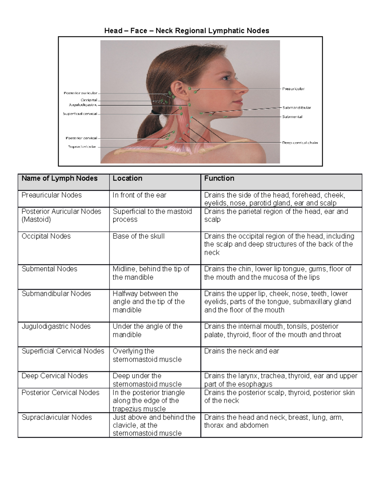 Regional Lymph Nodes - Notes - Head – Face – Neck Regional Lymphatic ...