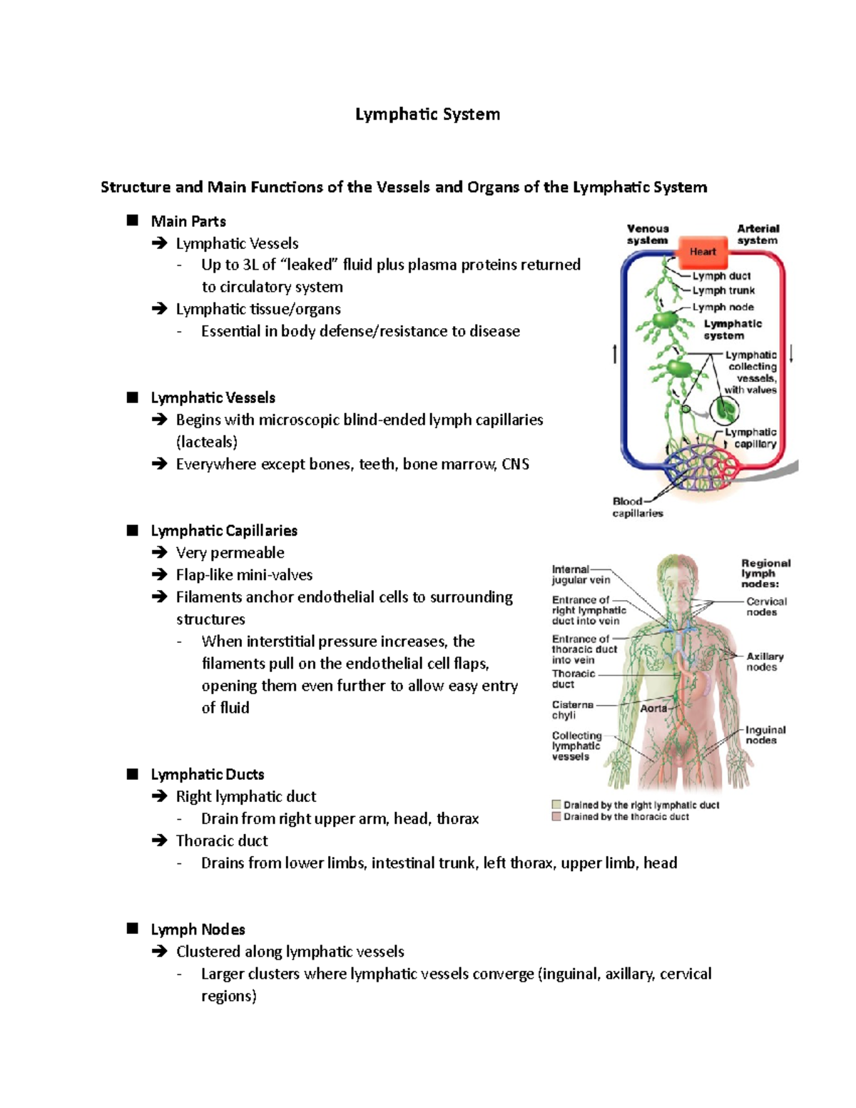 14. Lymphatic System I - Lymphatic System Structure and Main Functions ...