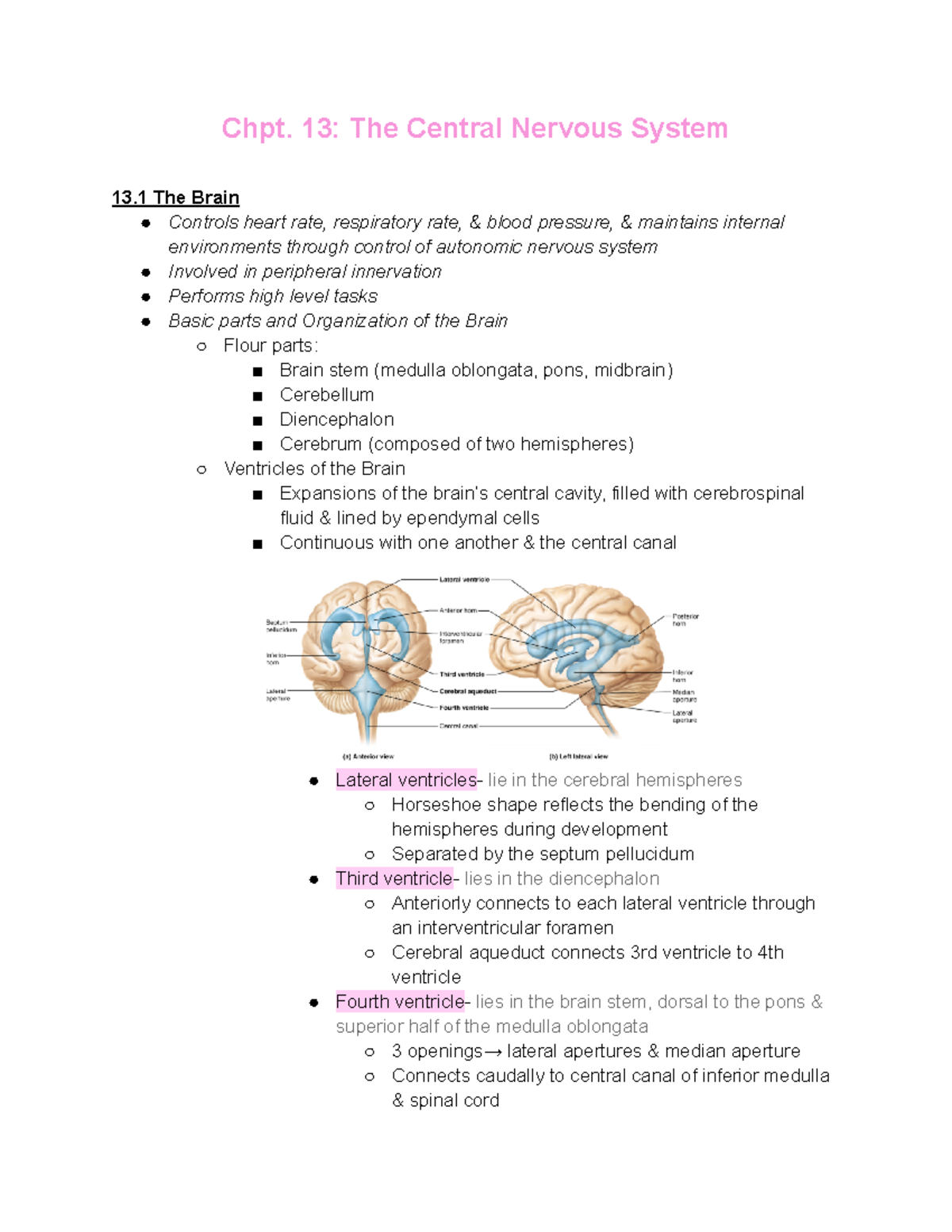Chapter 13 notes - good resource for exam prep - Chpt. 13: The Central ...