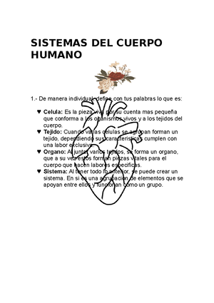 Actividad 2 cuidado del cuerpo humano - ACTIVIDAD 2 De manera ...