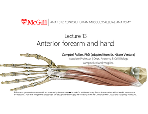 Sieve Analysis of Fine and Coarse Aggregates - SIEVE ANALYSIS OF ...