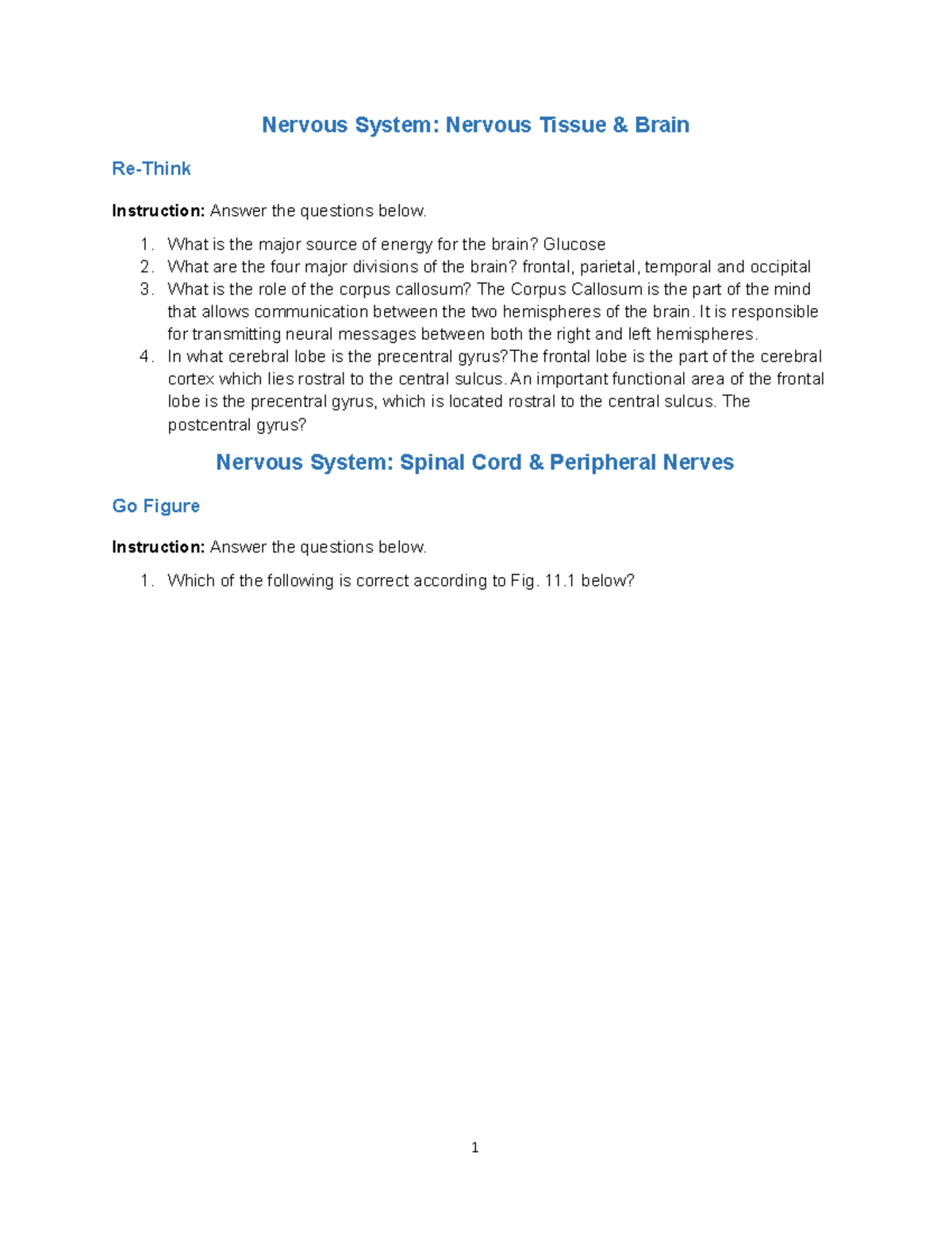 AHP106 Wk3 Assignment - work - Nervous System: Nervous Tissue & Brain ...