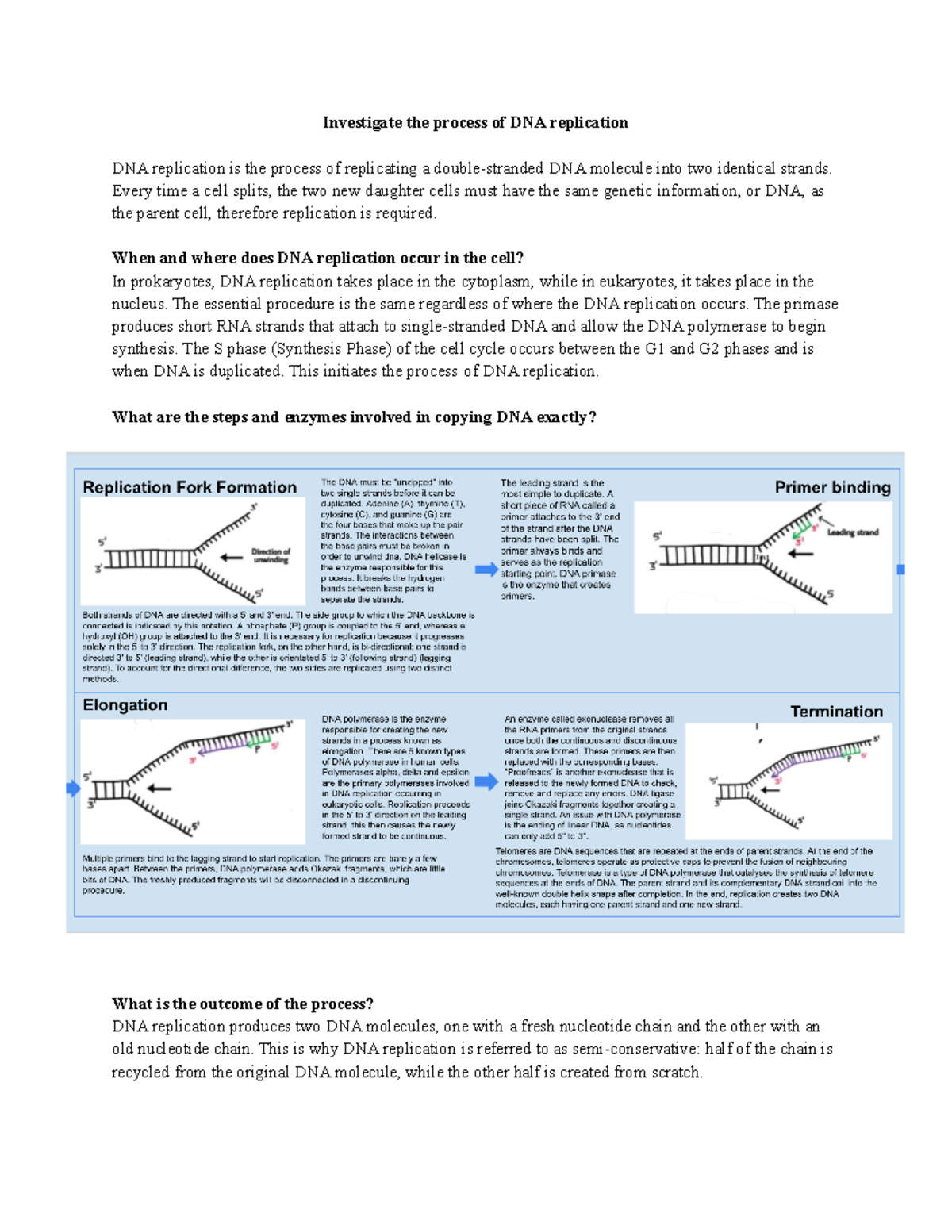 Science investigation for science experiment - Investigate the process ...
