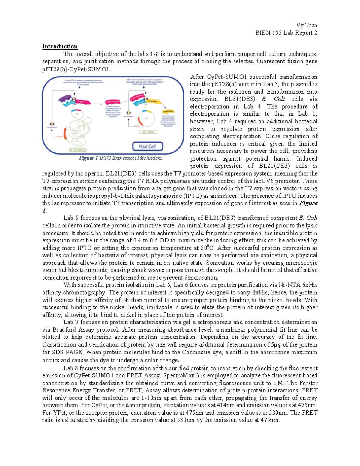 BIEN155 Lab Report 2 - BIEN 155 Lab Report 2 Introduction The overall ...