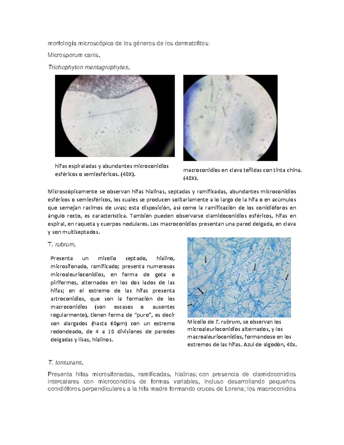 P7 - practica 7 - Warning: TT: undefined function: 32 Warning: TT: undefined function: 32 ...