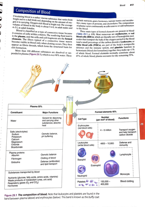 Chapter 21 Blood Vessels - SUGGESTED LECTURE OUTLINE I. ANATOMY OF ...