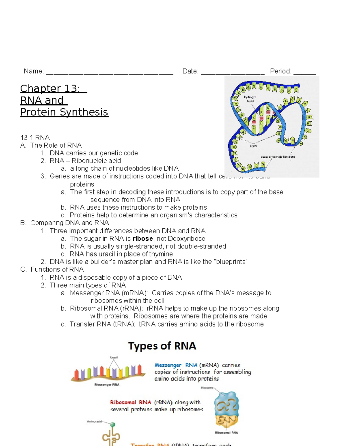 Biology ch 13 RNA Notes teacher - Name ...