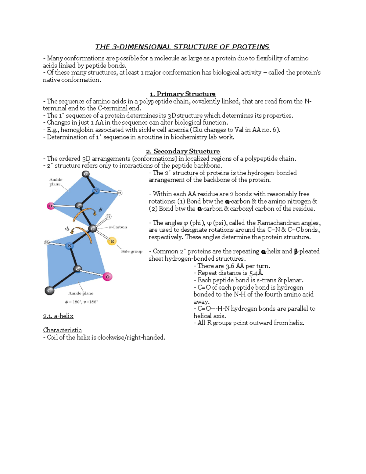 Chapter 4 - The 3D Structure of Proteins - THE 3 -DIMENSIONAL STRUCTURE ...
