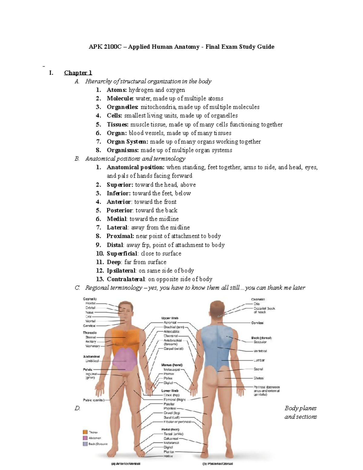 APK 2100C – Applied Human Anatomy - Final Exam Study Guide - Chapter 1 ...
