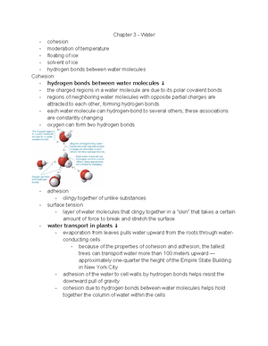Chapter 5 - Structure and Function of Biological Molecule - Studocu