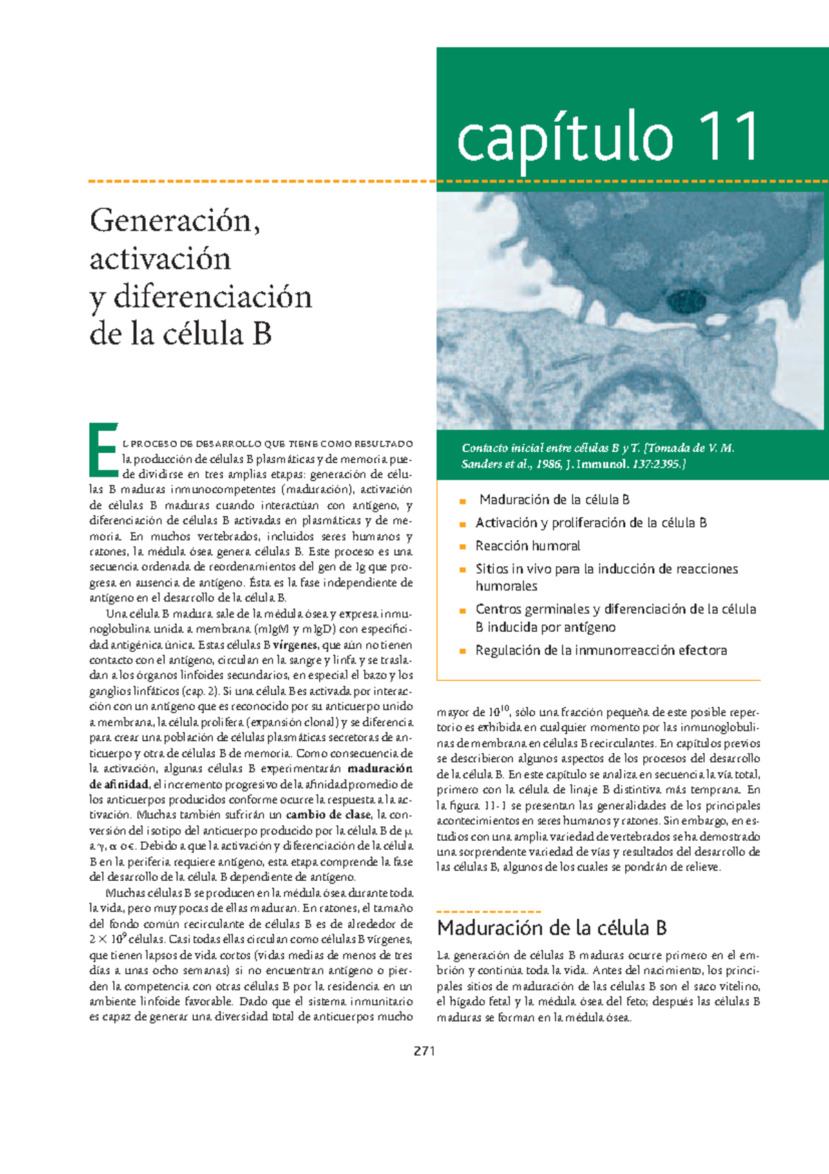 11 Generación Activación Y Diferenciación De La Célula B 271