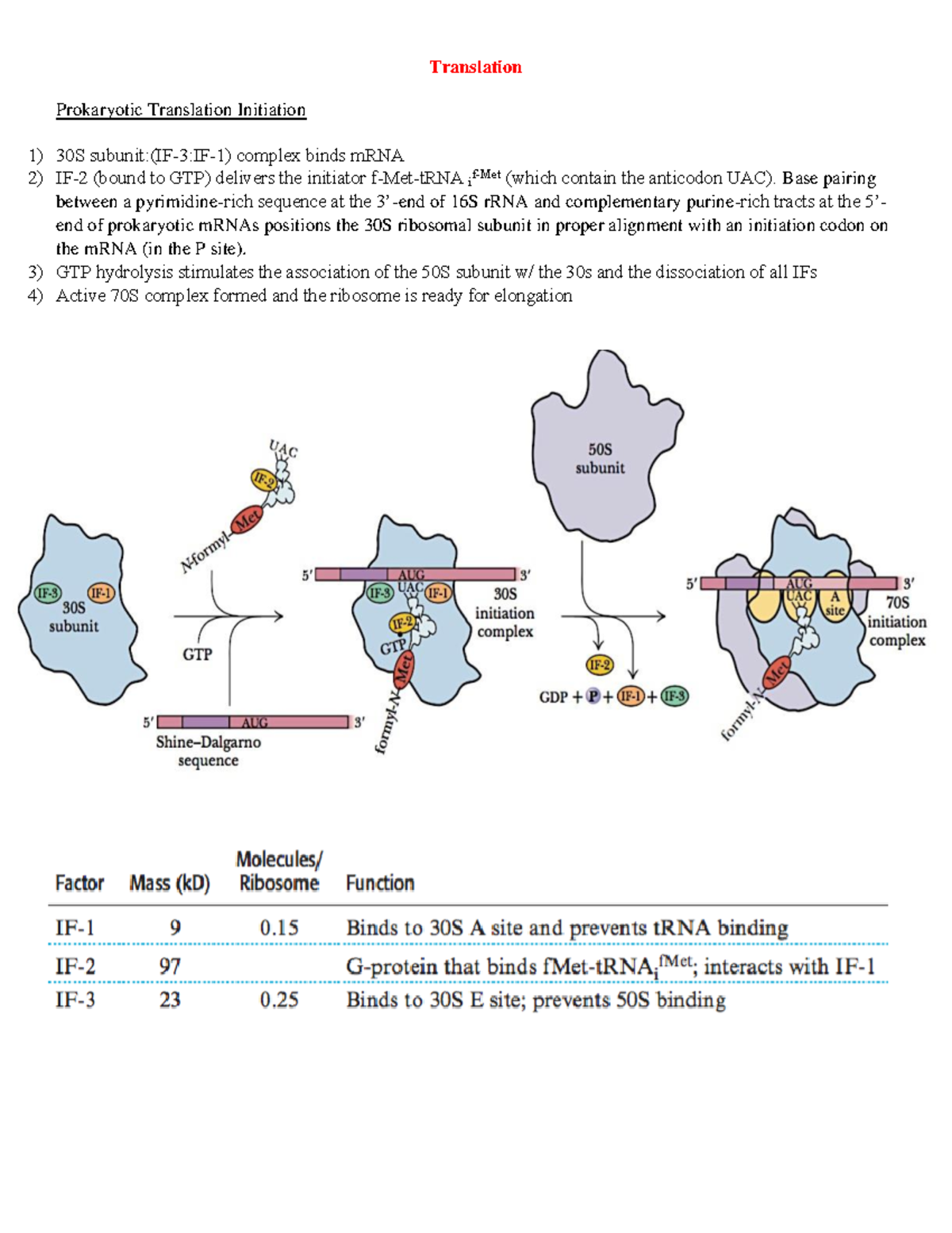 Translation (Autosaved) - Translation Prokaryotic Translation ...