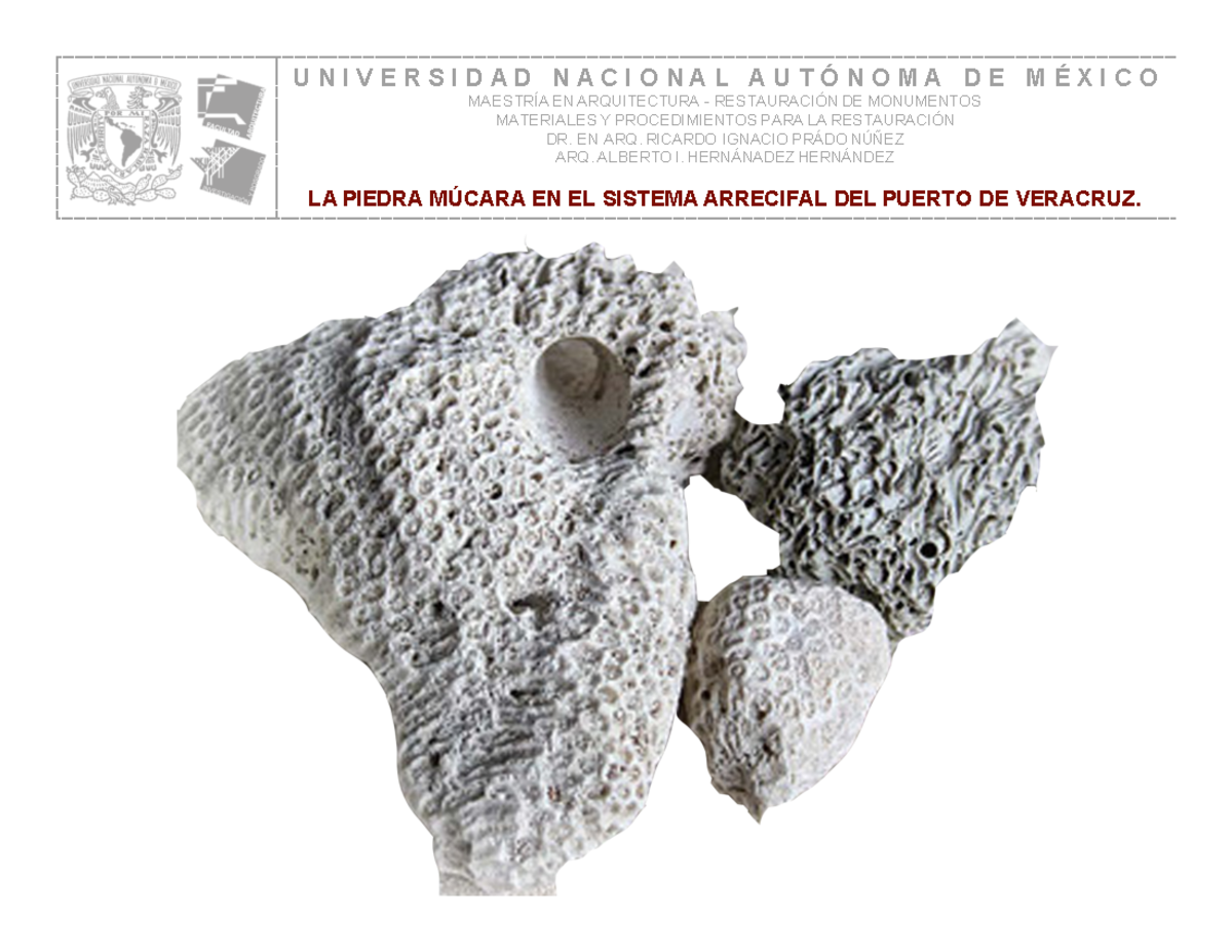 La Piedra Múcara en el Sistema Arrecifal Veracruzano - Alberto ...