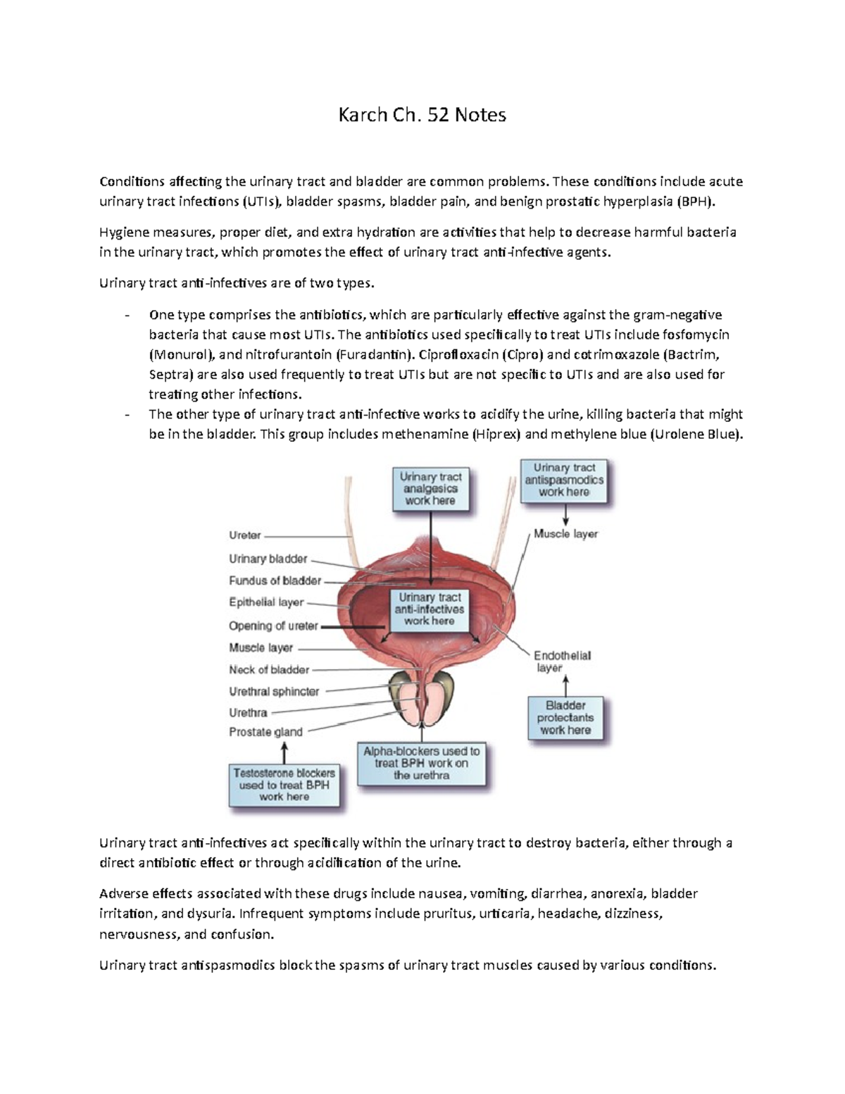 Ch. 52 Notes - Karch Ch. 52 Notes Conditions affecting the urinary ...